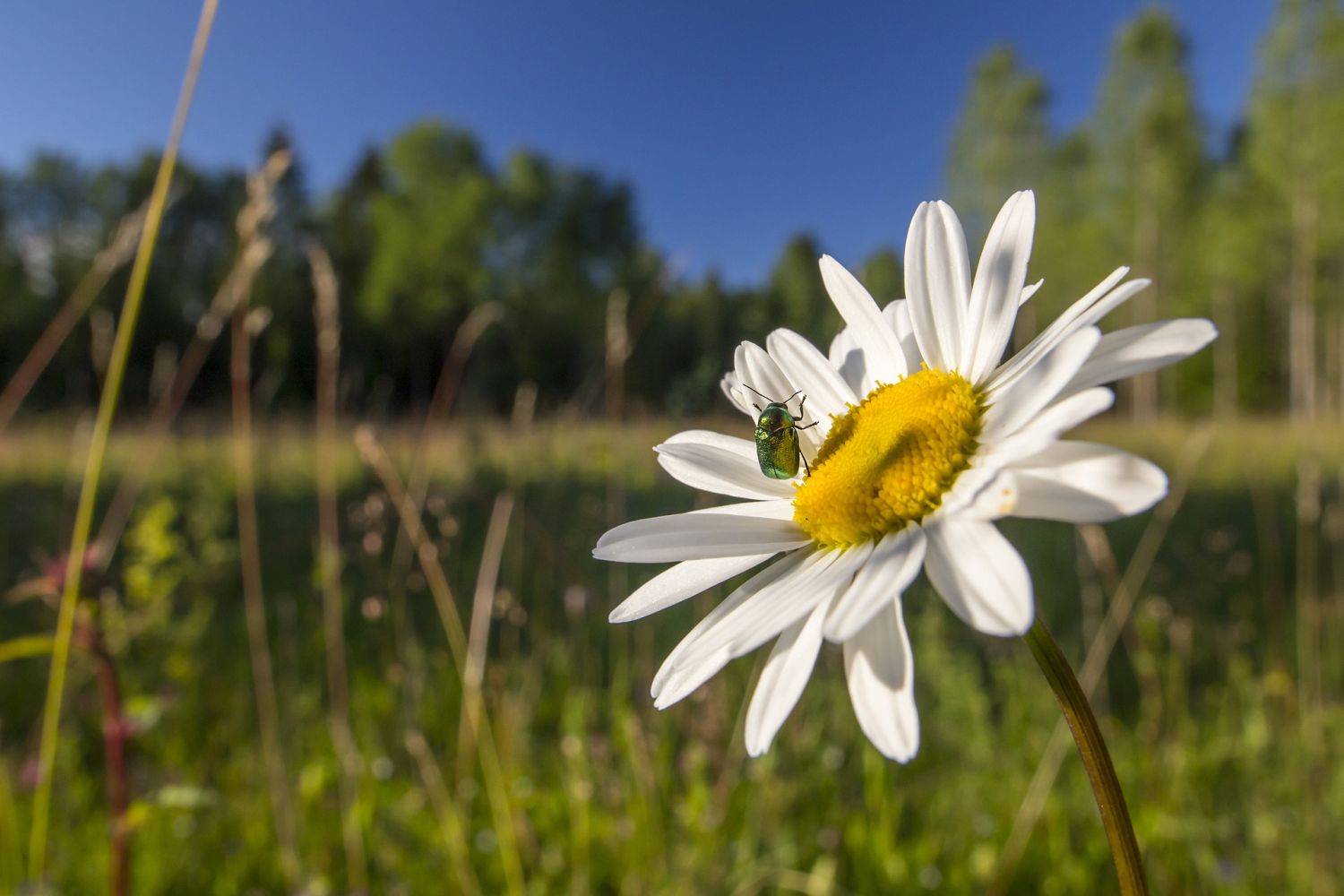 Eesti reisid - Tensireisid